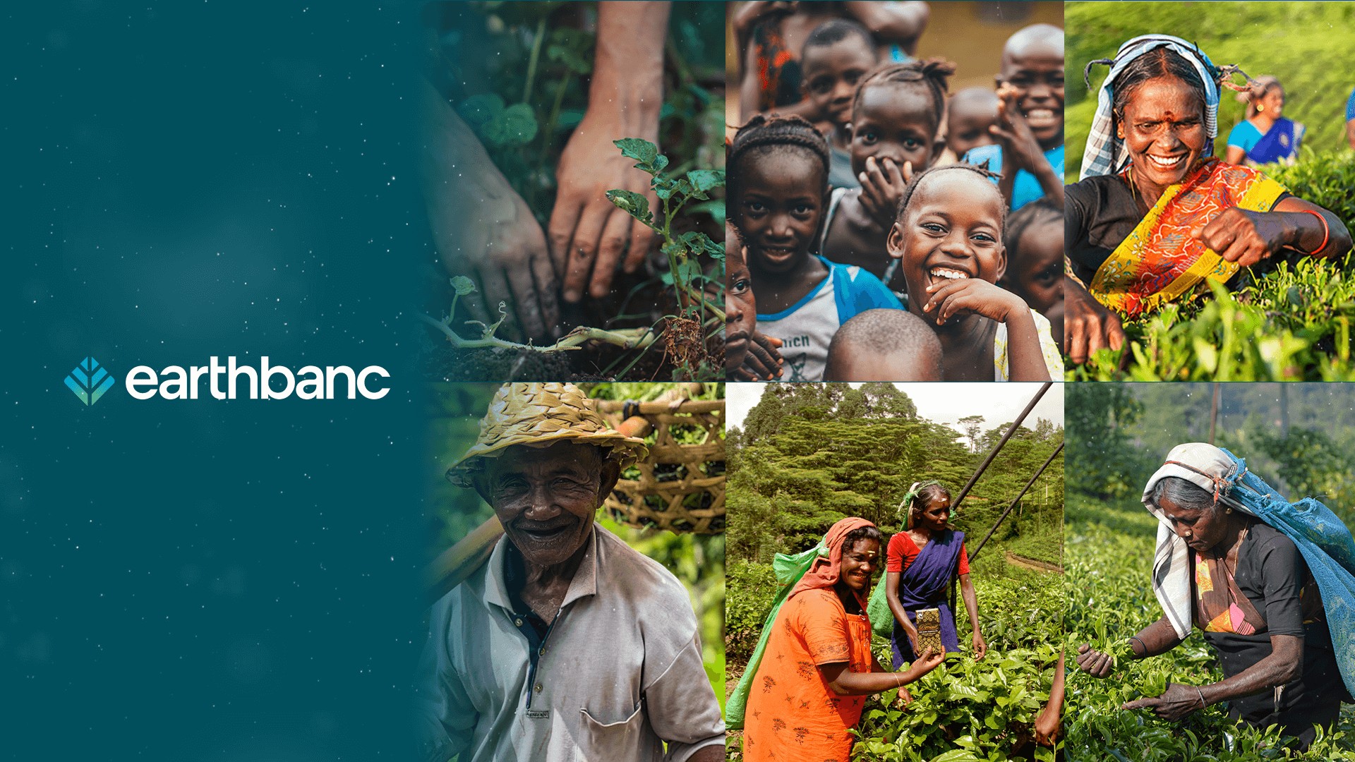 About us - Earthbanc